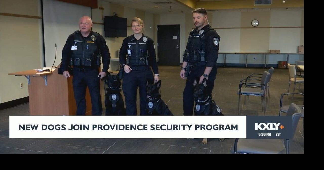 Providence welcomes new K-9s to boost security efforts | News | kxly.com