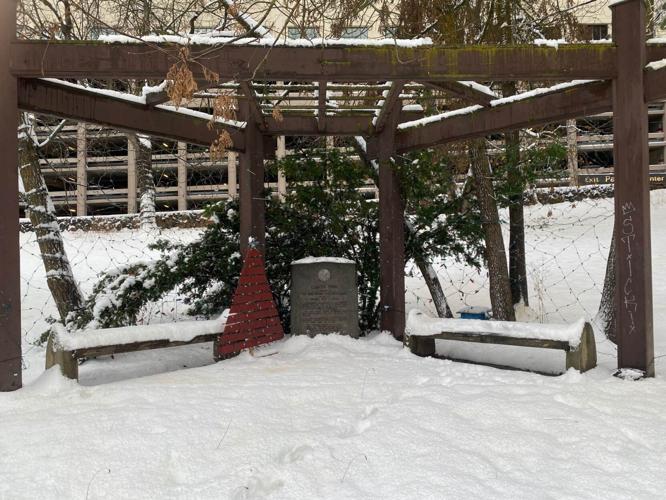 PHOTOS: Extreme Team’s Making Spirits Bright lights at Cowley Park ...