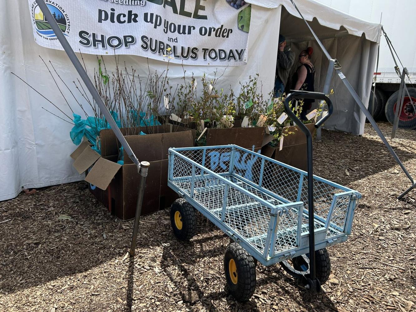 Spokane Conservation District's annual tree sale draws crowds as spring ...
