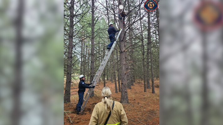 Spokane Valley Firefighters rescue young girl stuck in tree | News ...