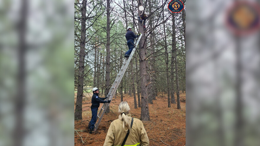 Spokane Valley Firefighters rescue young girl stuck in tree | News ...