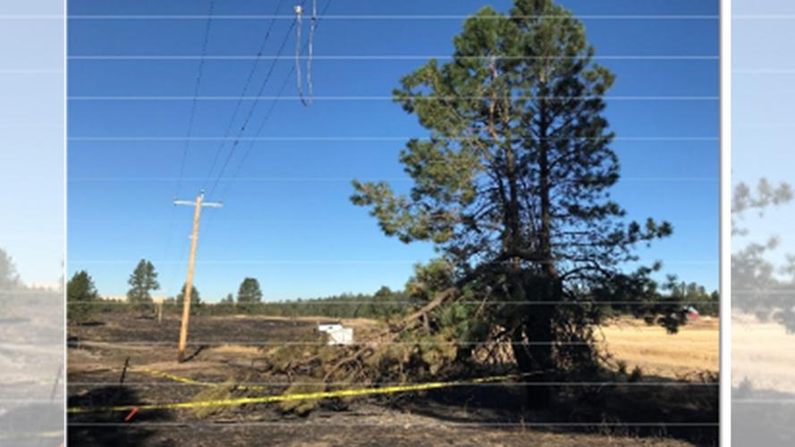 DNR Report: Damaged tree branch fell on Avista power line, starting ...