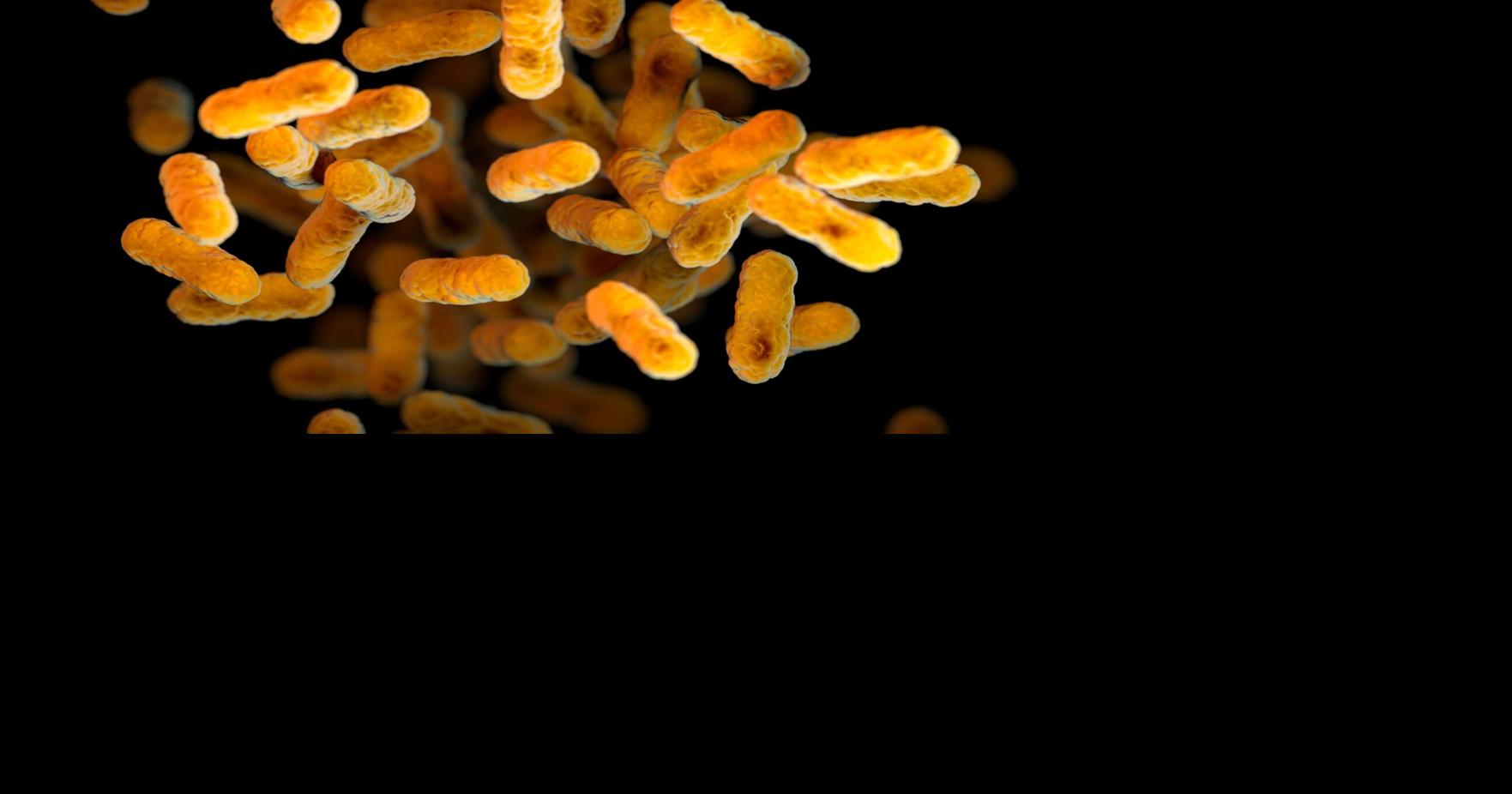 Whitman County reporting new pertussis outbreak with linked cases ...