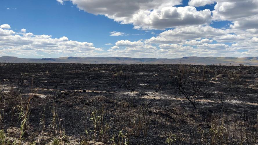 Colville Tribe Emergency crews put out wildfire on reservation ...
