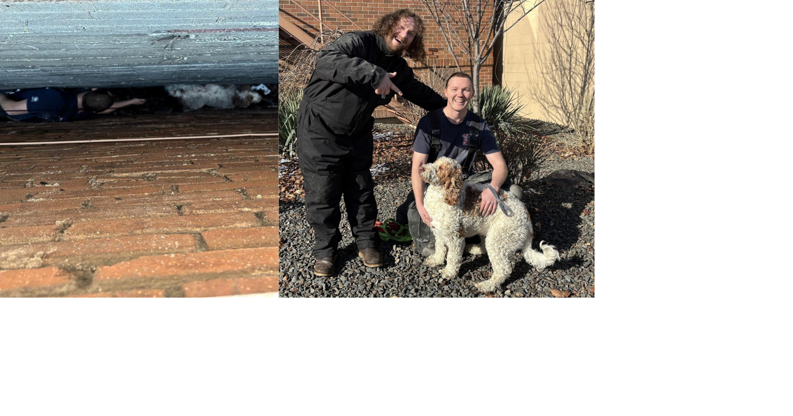 Spokane firefighters rescue dog stuck between two buildings | News ...