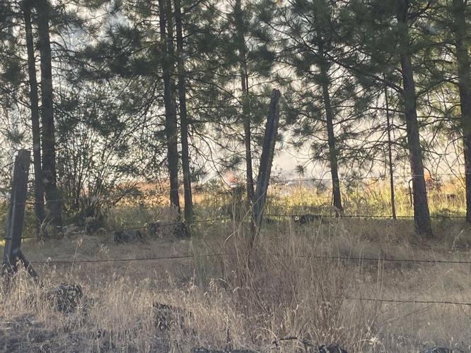 Badger Lake Fire 55-percent contained, lowered to Level 2 Evacuations ...