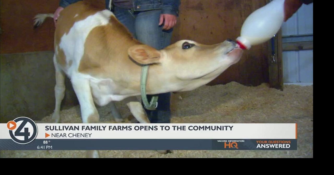 Summer fun at Sullivan Family Farms | Family | kxly.com