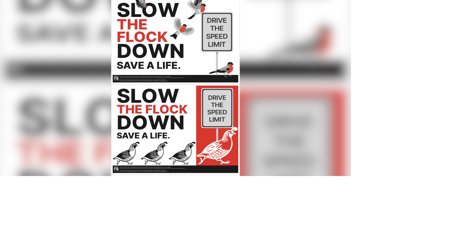 City of Spokane wants to buy 'Slow the Flock Down' signs to slow ...