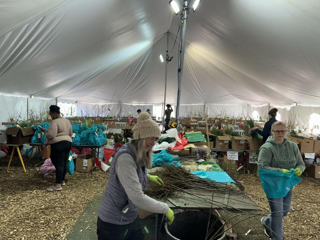 Spokane Conservation District's annual tree sale draws crowds as spring ...