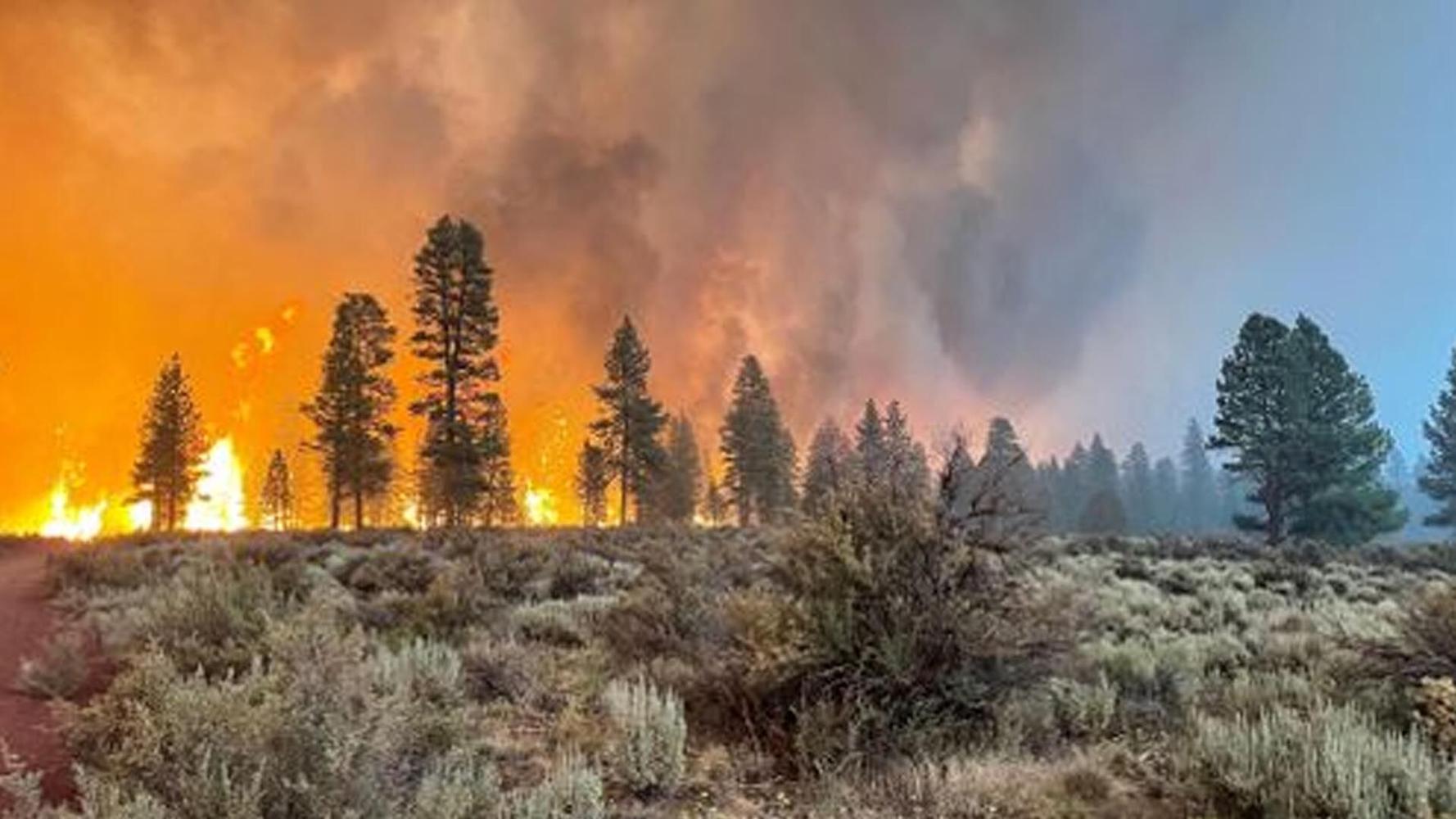 Smelling smoke? Track northwest wildfires with interactive map | News ...