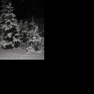 Snow Covers Hauser Backyard | North-idaho | kxly.com