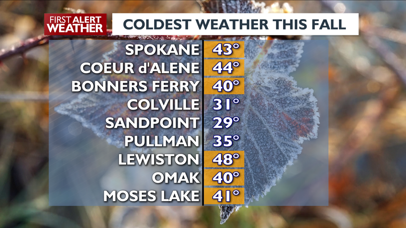 Ash Aphids are back, and this year they could stay a while | Eastern ...