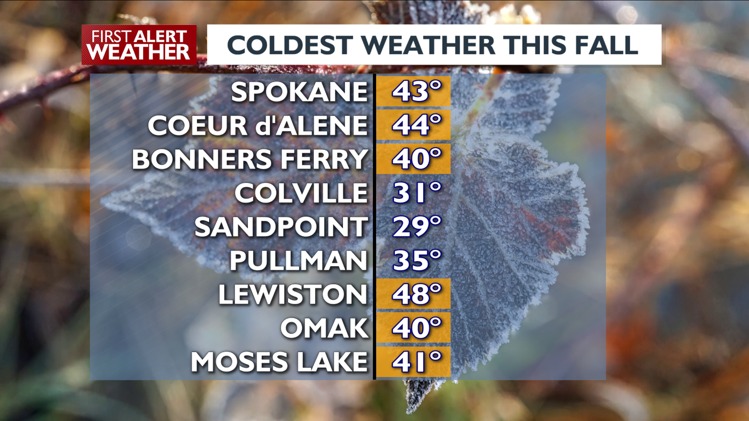 Ash Aphids are back, and this year they could stay a while | Eastern ...