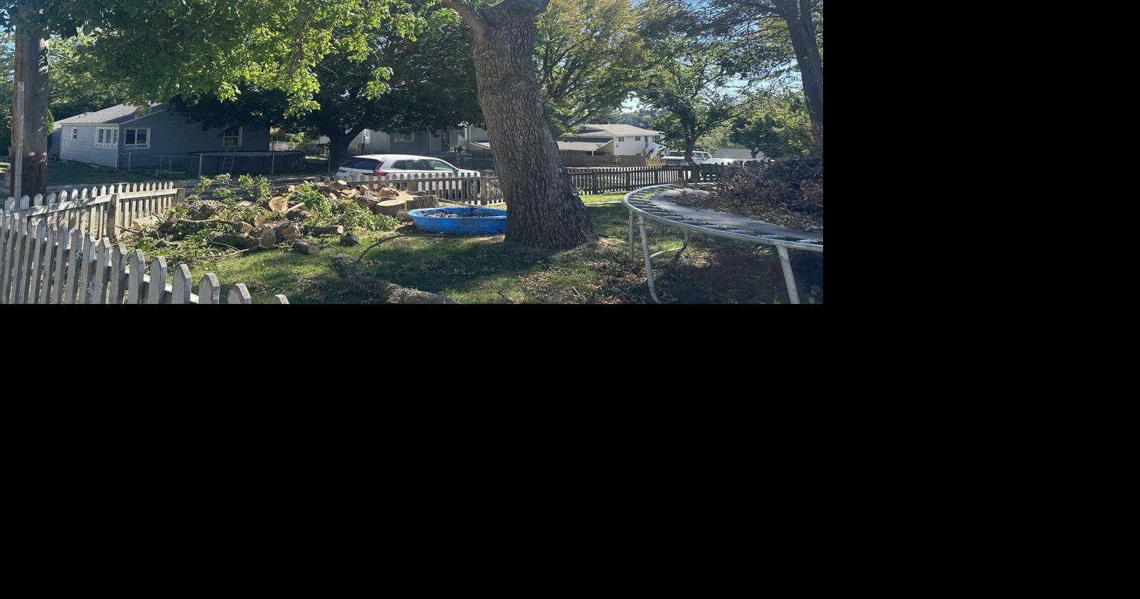 Aftermath of powerful storm leaves damage and debris in Pullman | News ...