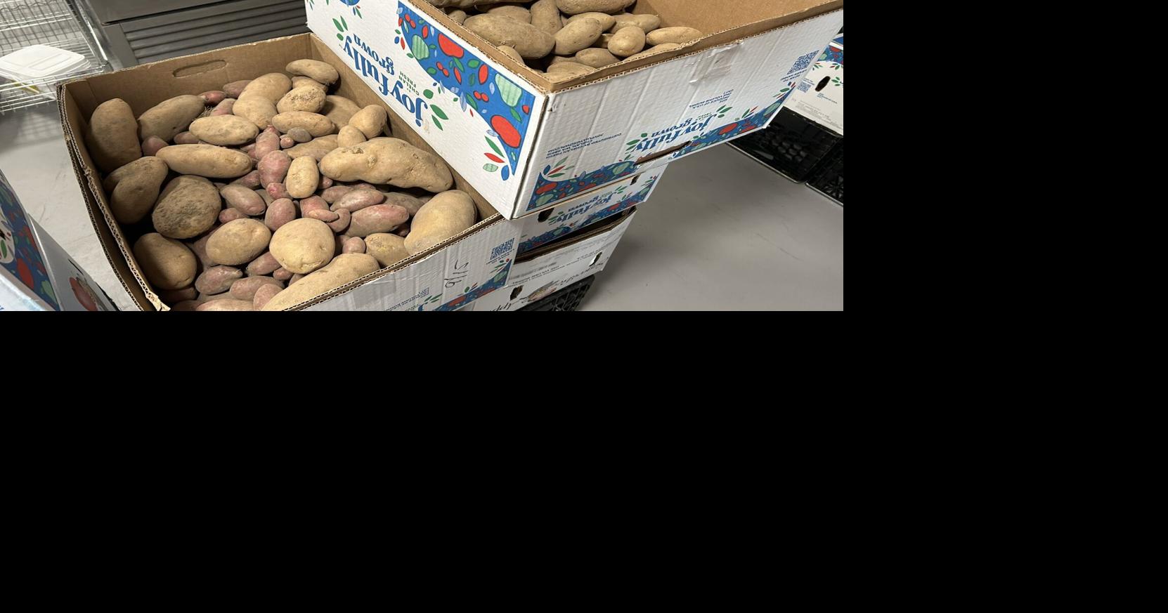 Caritas Food Bank sees 16 new clients daily amid SNAP benefit delays ...