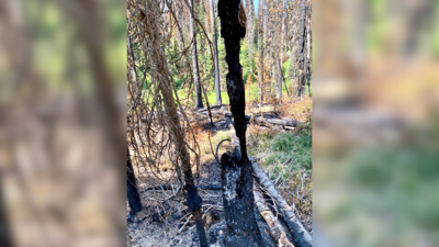 FIREWATCH: Midnight Fire growth stopped, burning east of Grangeville ...