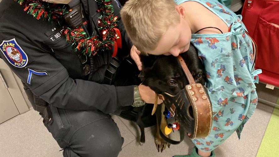 PHOTOS: K-9 teams deliver joy to local hospitals | Local News | kxly.com