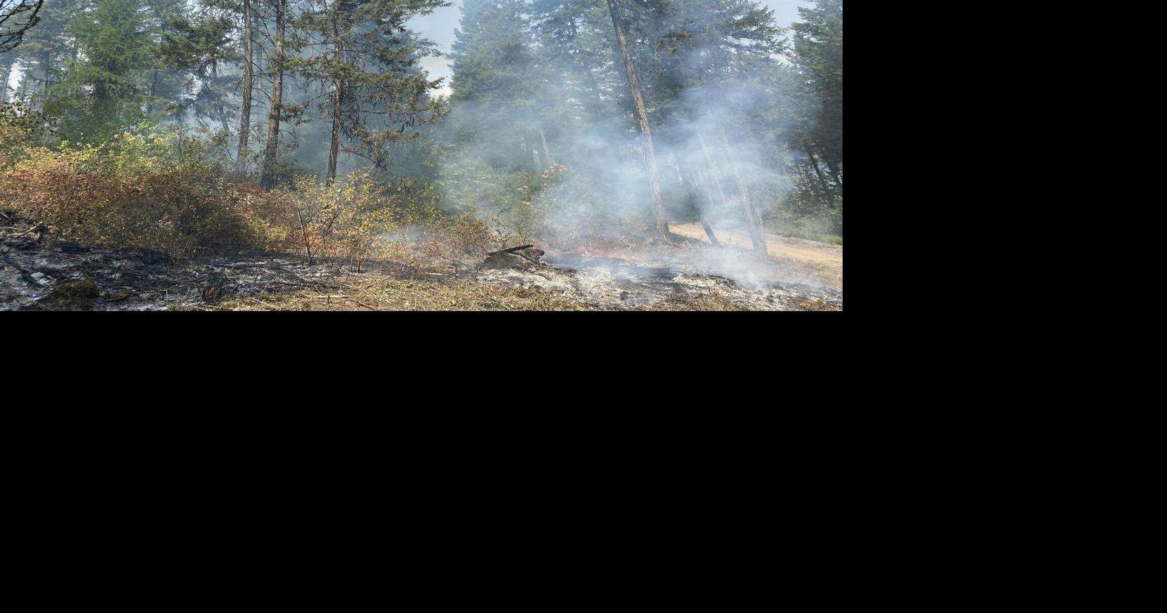 Crews make progress on 7,800-acre wildfire burning near Kettle Falls ...