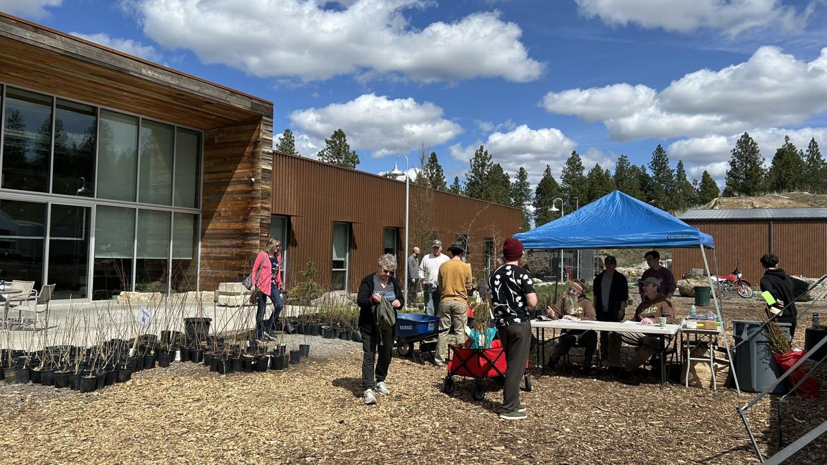 Spokane Conservation District's annual tree sale draws crowds as spring ...