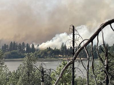 Disaster Assistance Center opening Friday for Gray, Oregon Road Fire ...