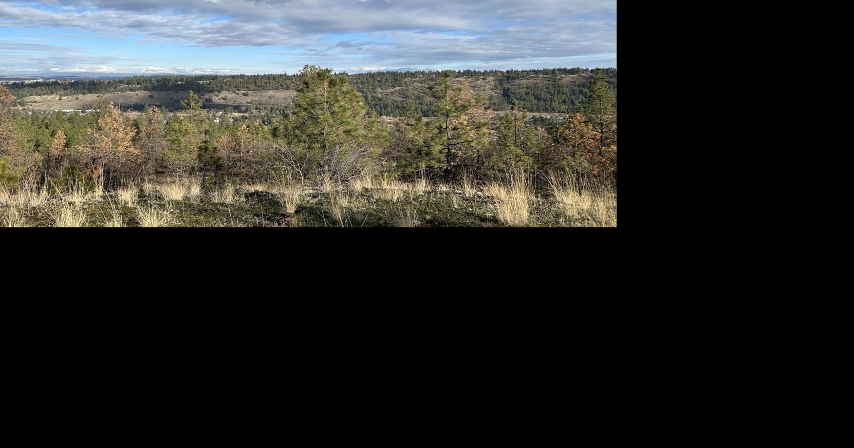 Spokane conservationists work to save 200-acre Thorpe property from ...