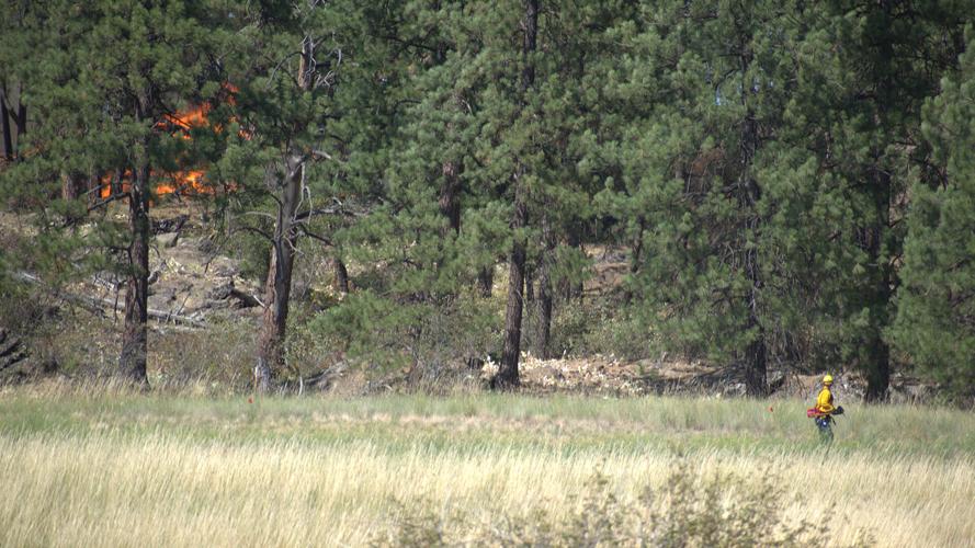 Brush fire burns five acres near Spokane Valley park | Firewatch | kxly.com