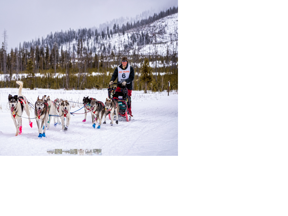 The results are in: Idaho Sled Dog Challenge's Warm Lake Stage Race ...