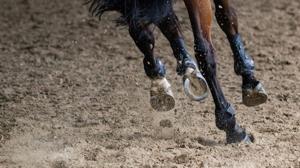 Spokane Arena cancels upcoming rodeo events claiming organizers ...