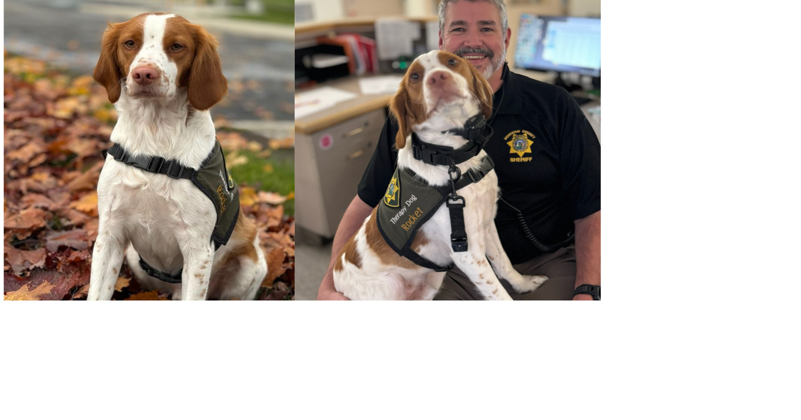 Kootenai County therapy dog nominated for First Responders Paws Award ...