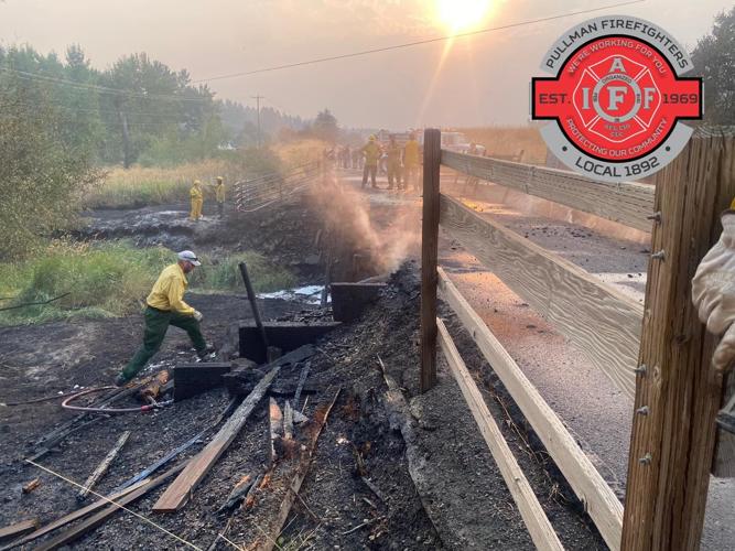 Teens, ages 13 and 14, already on probation, charged in Pullman bridge ...