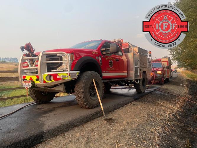 Teens, ages 13 and 14, already on probation, charged in Pullman bridge ...