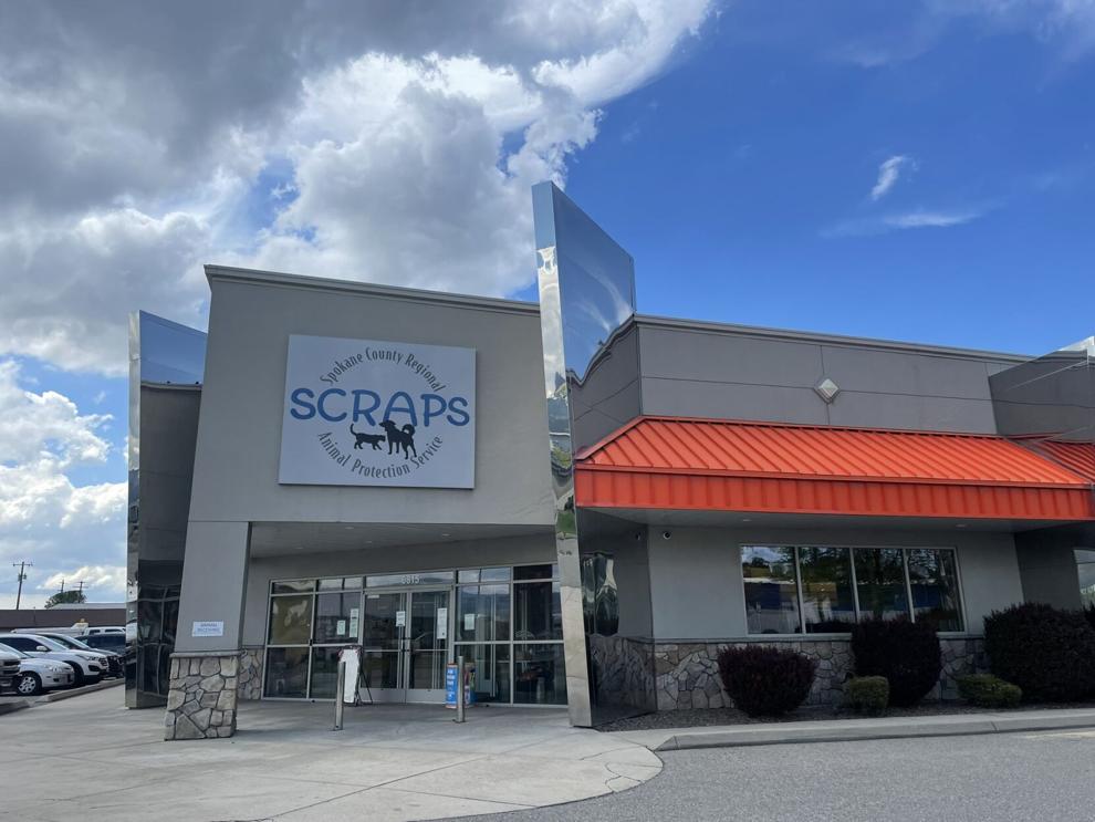Adult dogs can now be adopted at SCRAPS | News | kxly.com