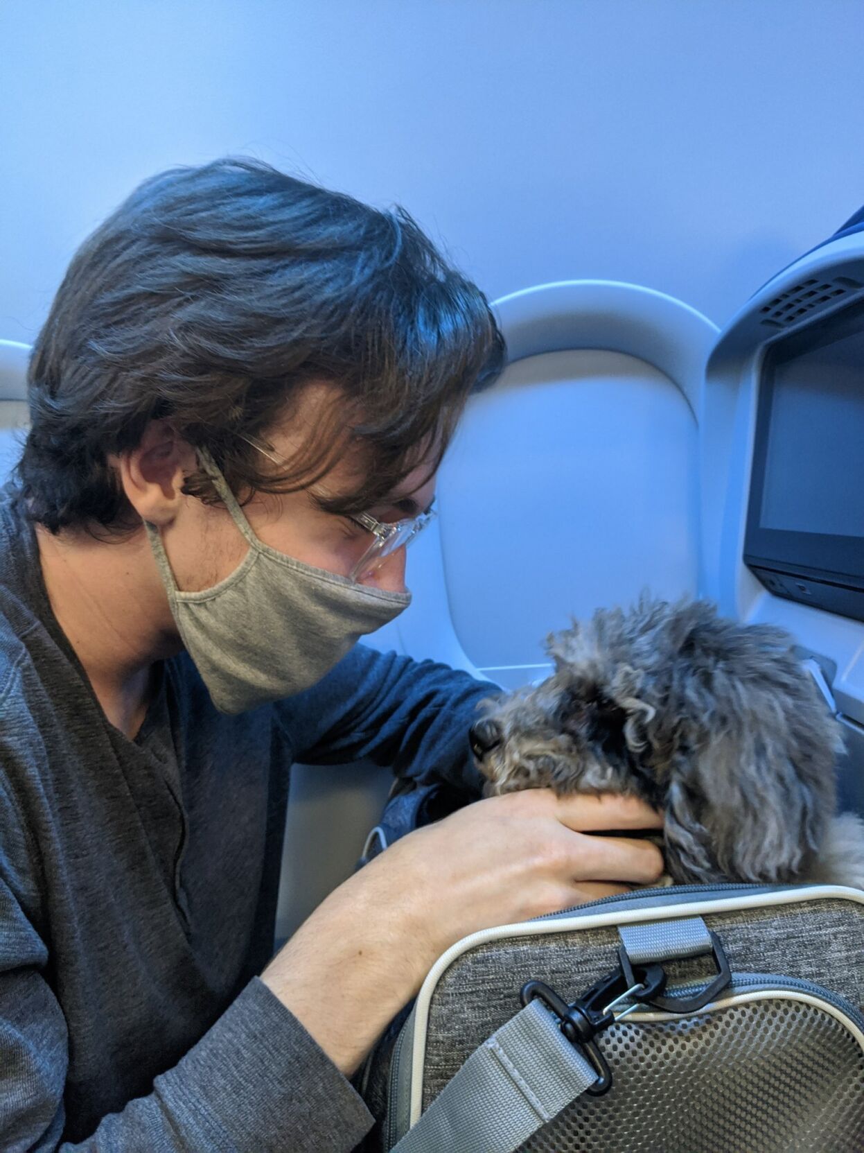 More people turning to dogs for help with pandemic related stress ...
