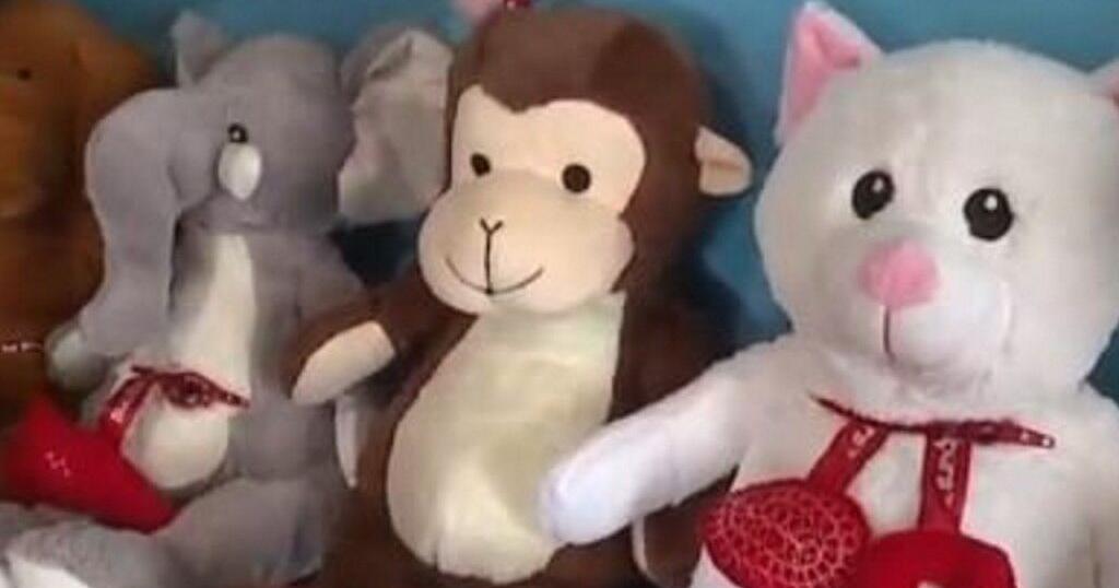 ‘Healing Helpers’ provide comfort for kids undergoing surgeries ...