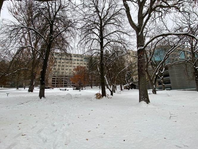 PHOTOS: Extreme Team’s Making Spirits Bright lights at Cowley Park ...