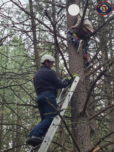 Spokane Valley Firefighters rescue young girl stuck in tree | News ...