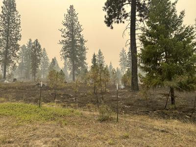 FIREWATCH: All evacuations lifted for Oregon Road Fire, 88% contained ...