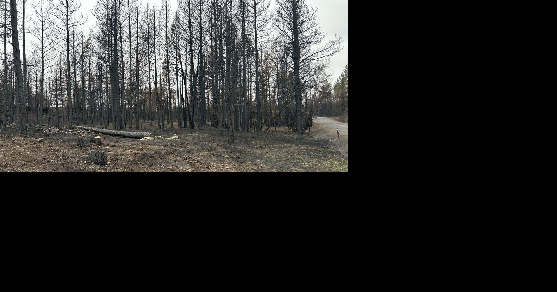 Gray fire victims react to cause of devastating fire, holding onto ...