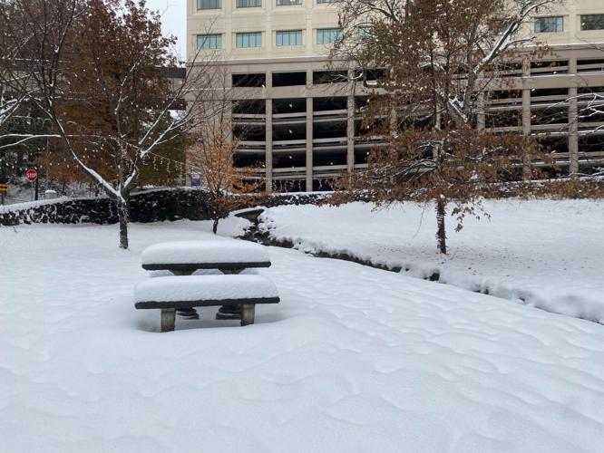 PHOTOS: Extreme Team’s Making Spirits Bright lights at Cowley Park ...