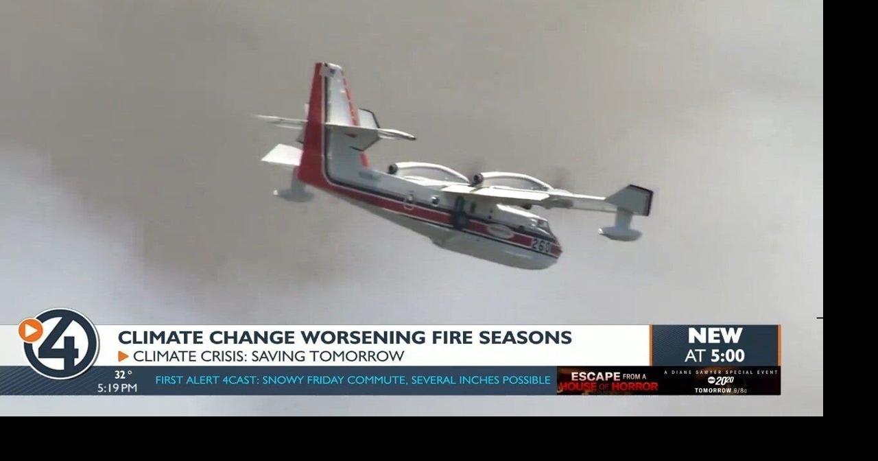 How the ‘Keep Washington Evergreen’ plan could help forests in the ...