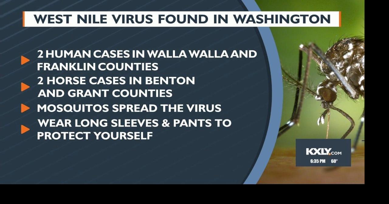 West Nile virus reported in four counties in Washington, found in ...