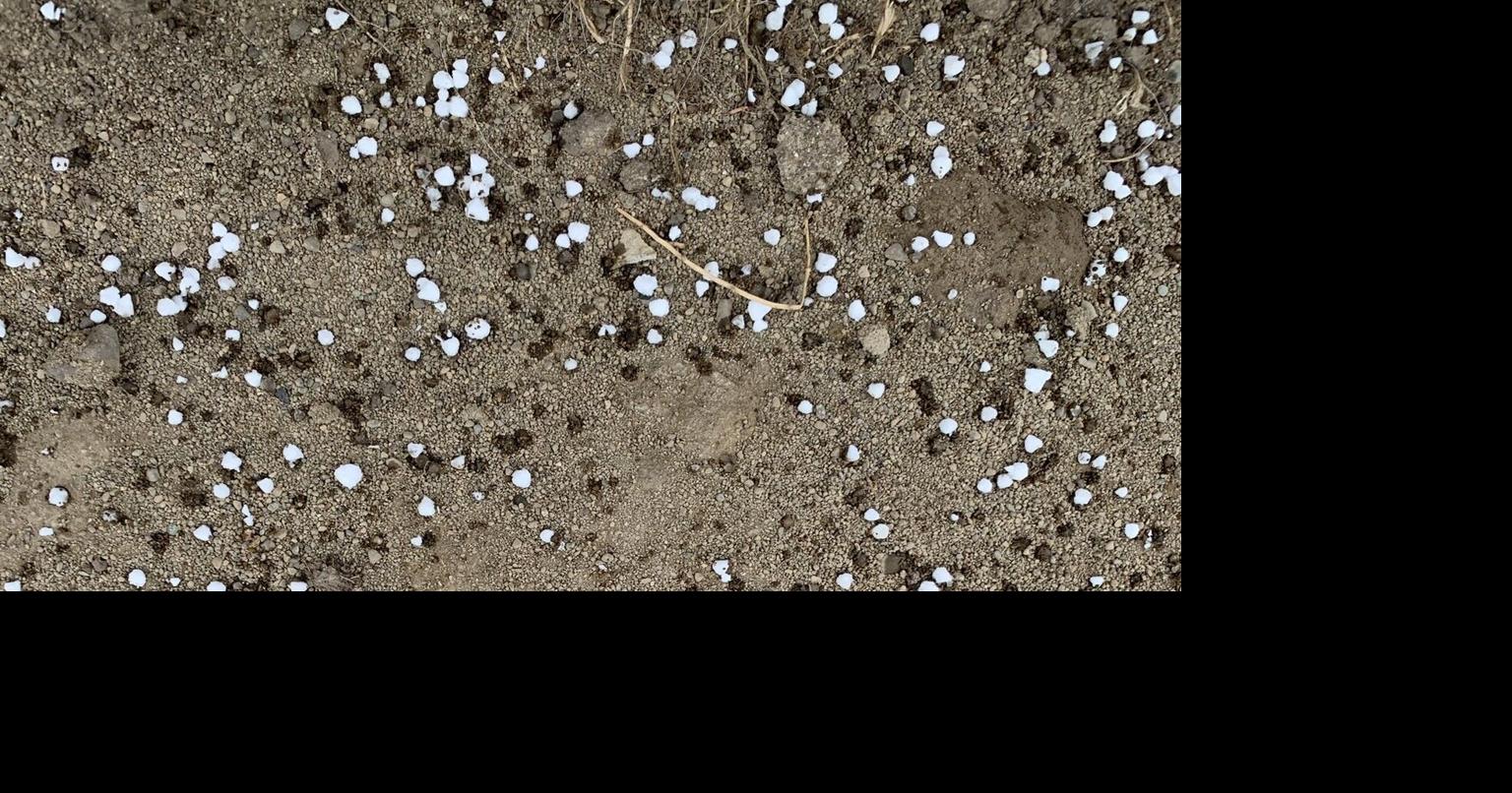 What is graupel? | Local News | kxly.com