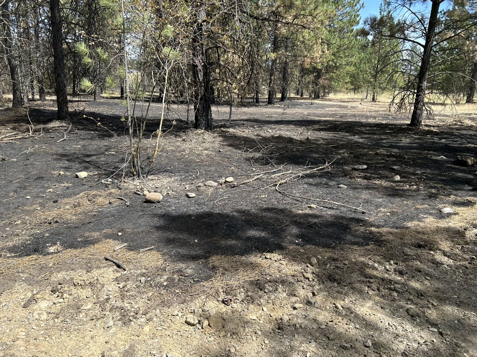 Spokane County fire departments see record fire calls | 92.9 ZZU (KZZU FM)
