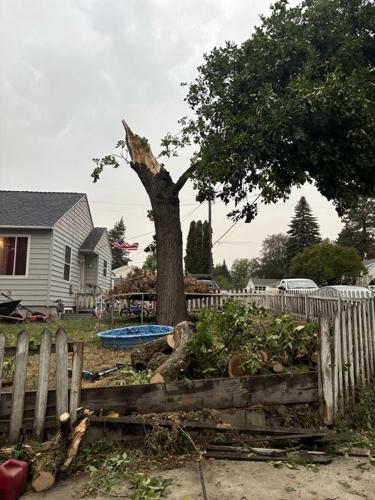 Aftermath of powerful storm leaves damage and debris in Pullman | News ...
