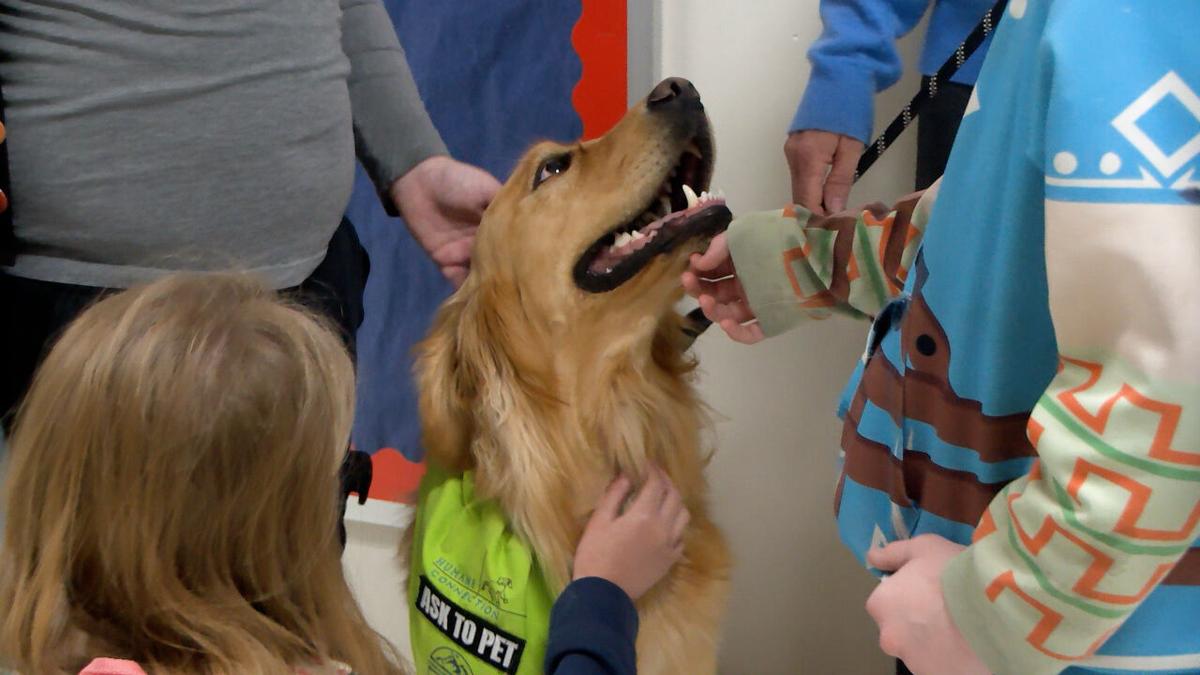 New therapy dog brings comfort to North Idaho elementary students ...