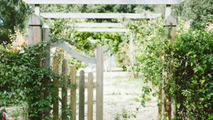 Discover native plants at Spokane Master Gardeners Garden Fair and ...