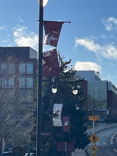 Windstorm takes down trees across Pullman, WSU campus | News | kxly.com