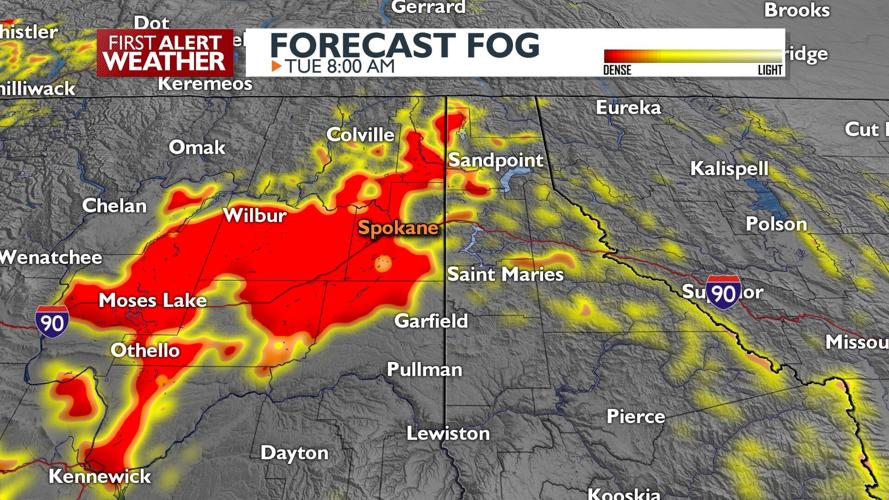 😶‍🌫️A foggy start to Veterans Day, wet weather returns later this week ...
