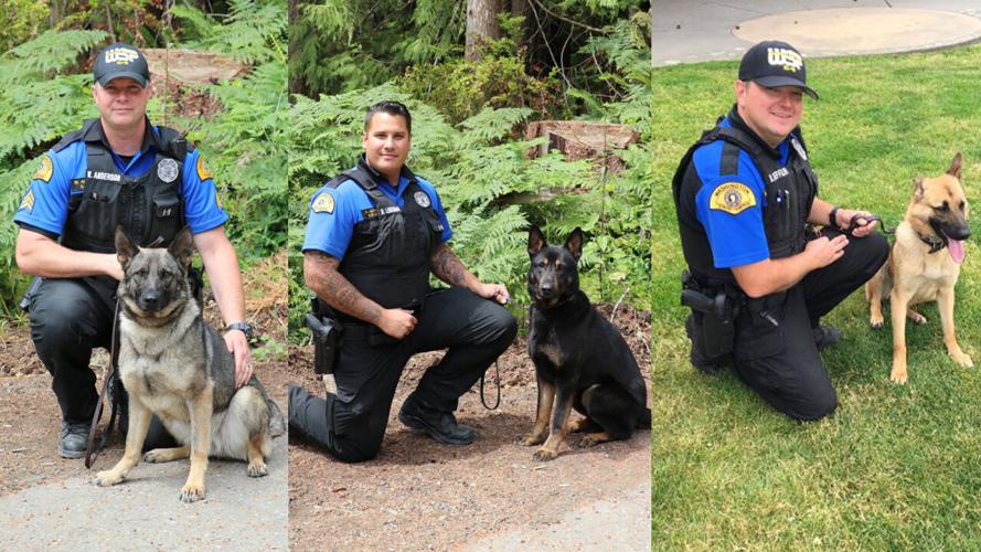 New K9 graduates join Washington State Patrol | Local News | kxly.com