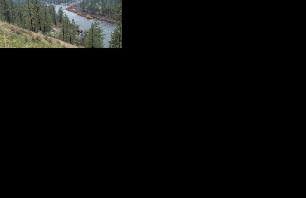 Local task force helps clean up toxic chemicals from Spokane River ...